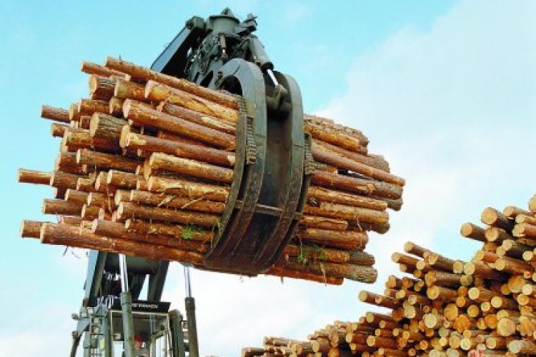 EU timber clampdown approaches EU timber clampdown approaches